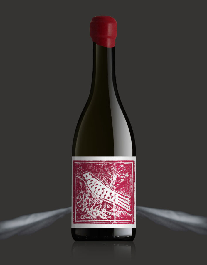 Pinot nero - Aliotti | Caprese Michelangelo - Arezzo